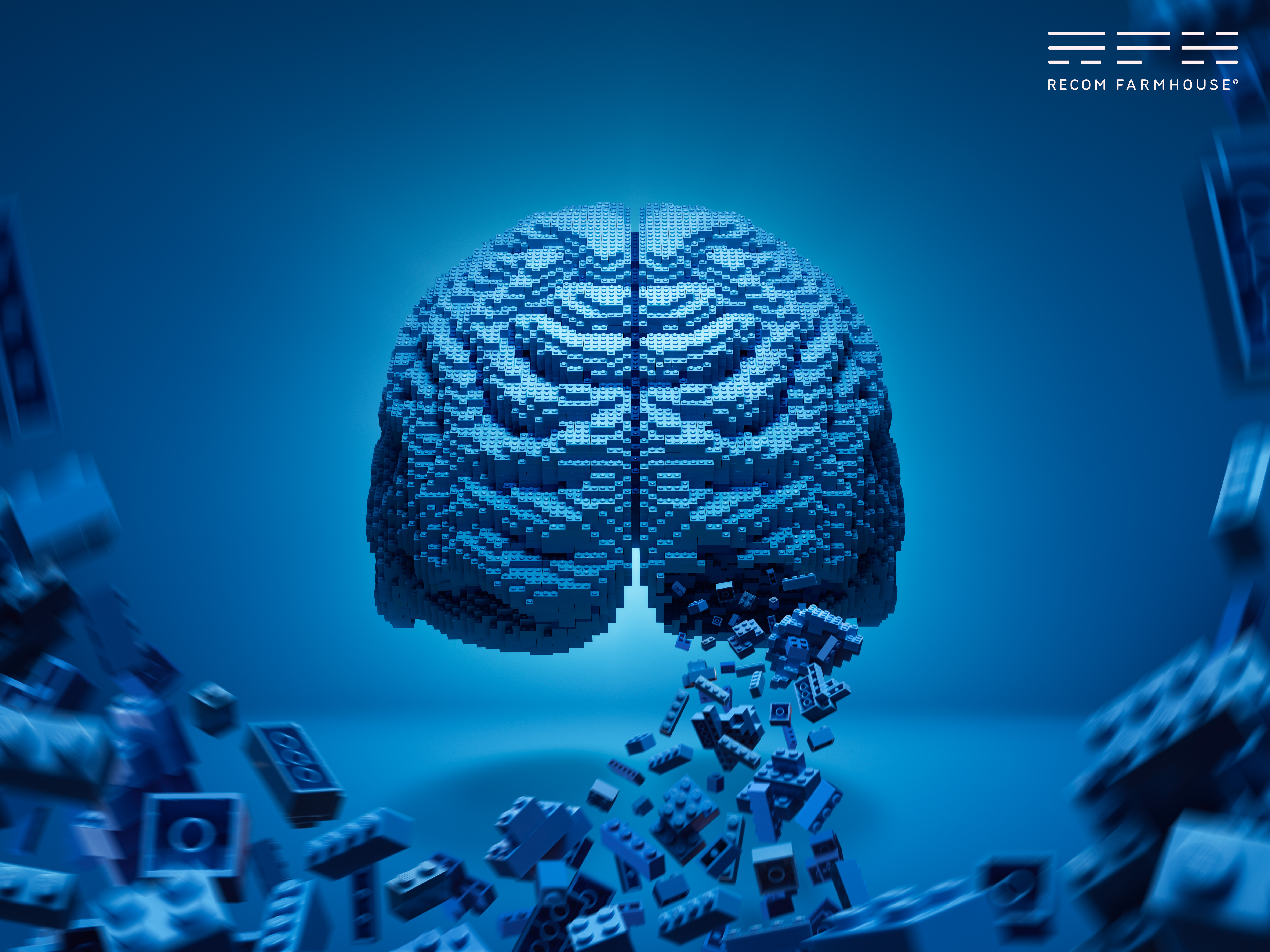 Organogenesis / Andrei Duman