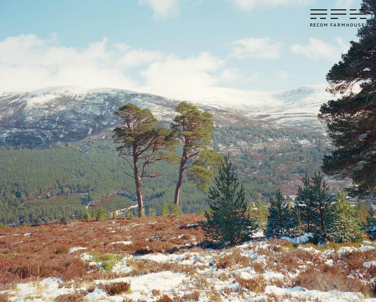 Recom Farmhouse - CGI AND Creative retouchingNYT / Catherine Hyland - Retouching - by Recom ...