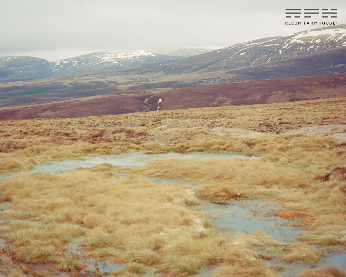 Recom Farmhouse - CGI AND Creative retouchingNYT / Catherine Hyland - Retouching - by Recom ...